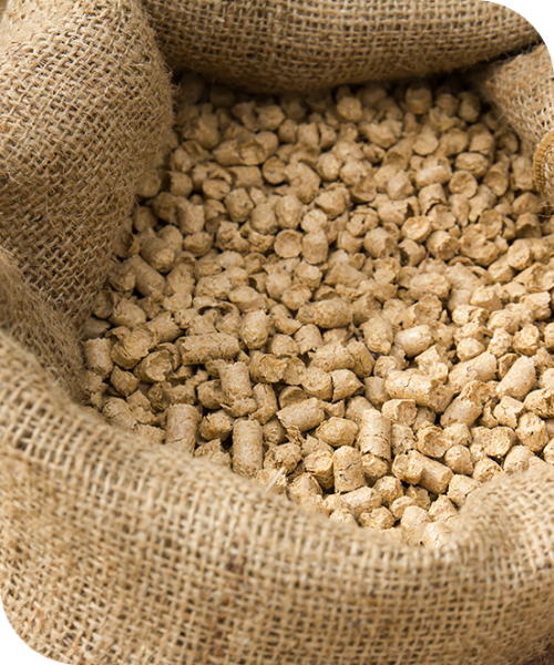 Nutrition animale - Galam